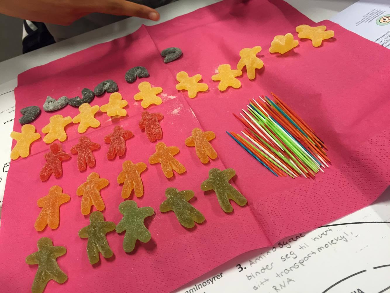 Naturfag med Andrine: DNA med seigmenn og salte sild