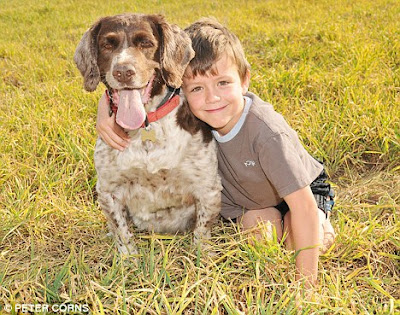 ForAnimalLover: A true dog of war: Hero RAF dog Buster bow wows out ...