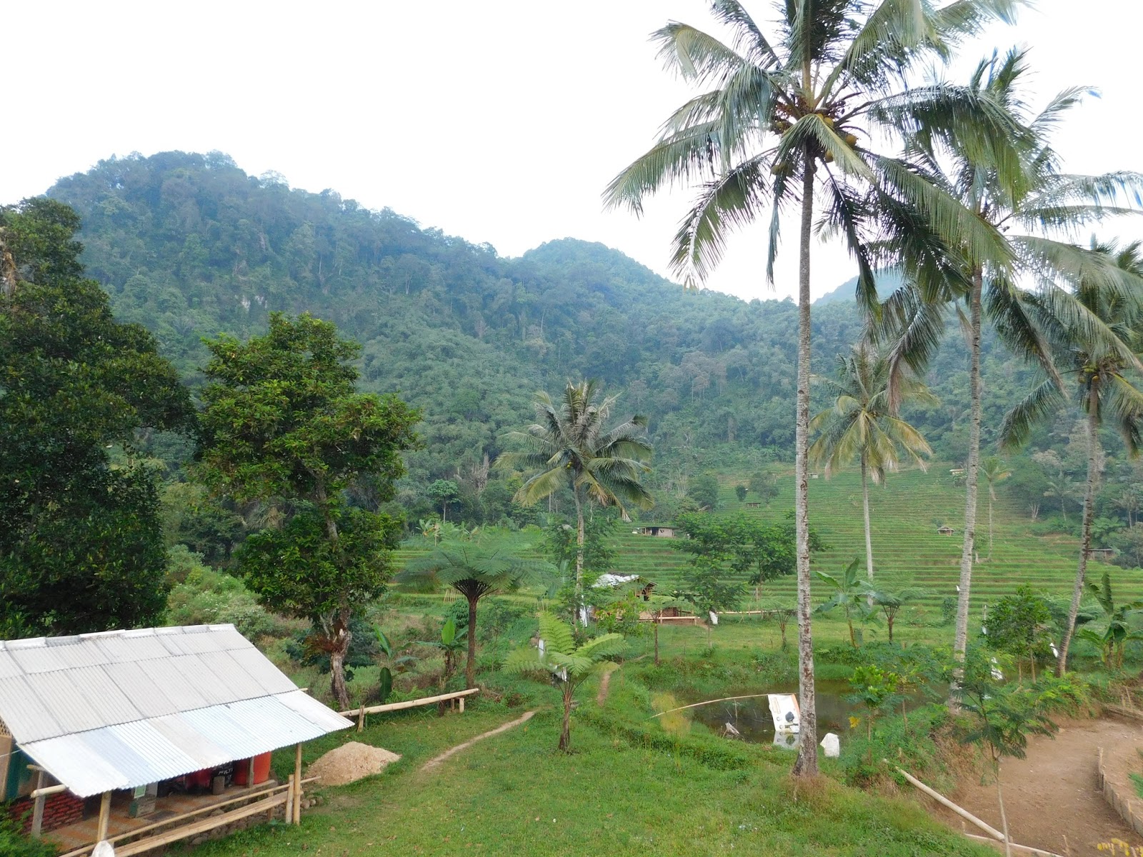 CAMP ABAH DANU CURUG CILEAT ~ Desa Mayang - Kecamatan Cisalak