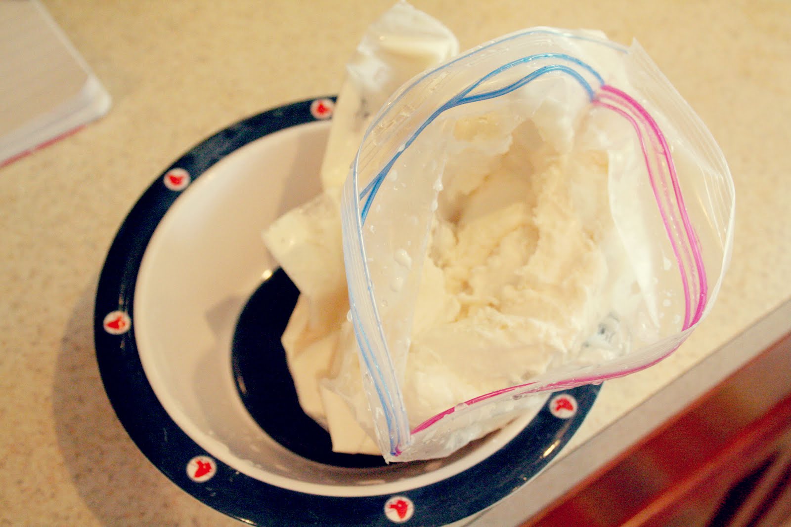 Buggie and Jellybean: What we ate Wednesday. {Ice Cream in a Bag}