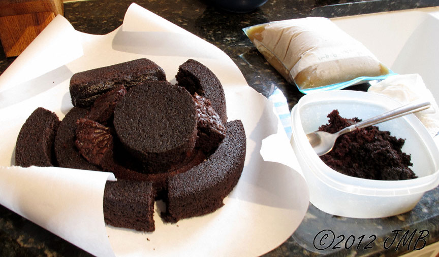 Flora Hiker: Garbage Can & Recyling Bin Cake for Son's Birthday