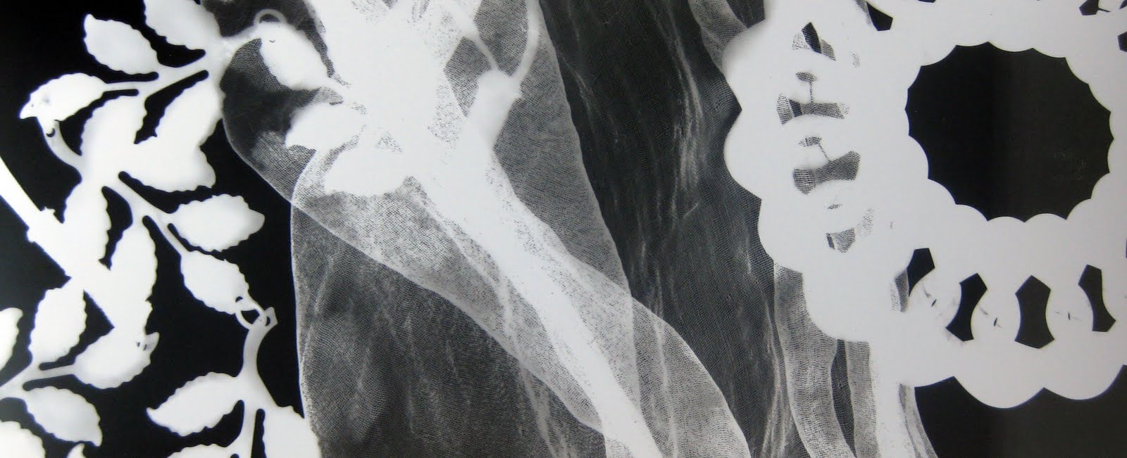 Amber-Rose Design: Rayograms