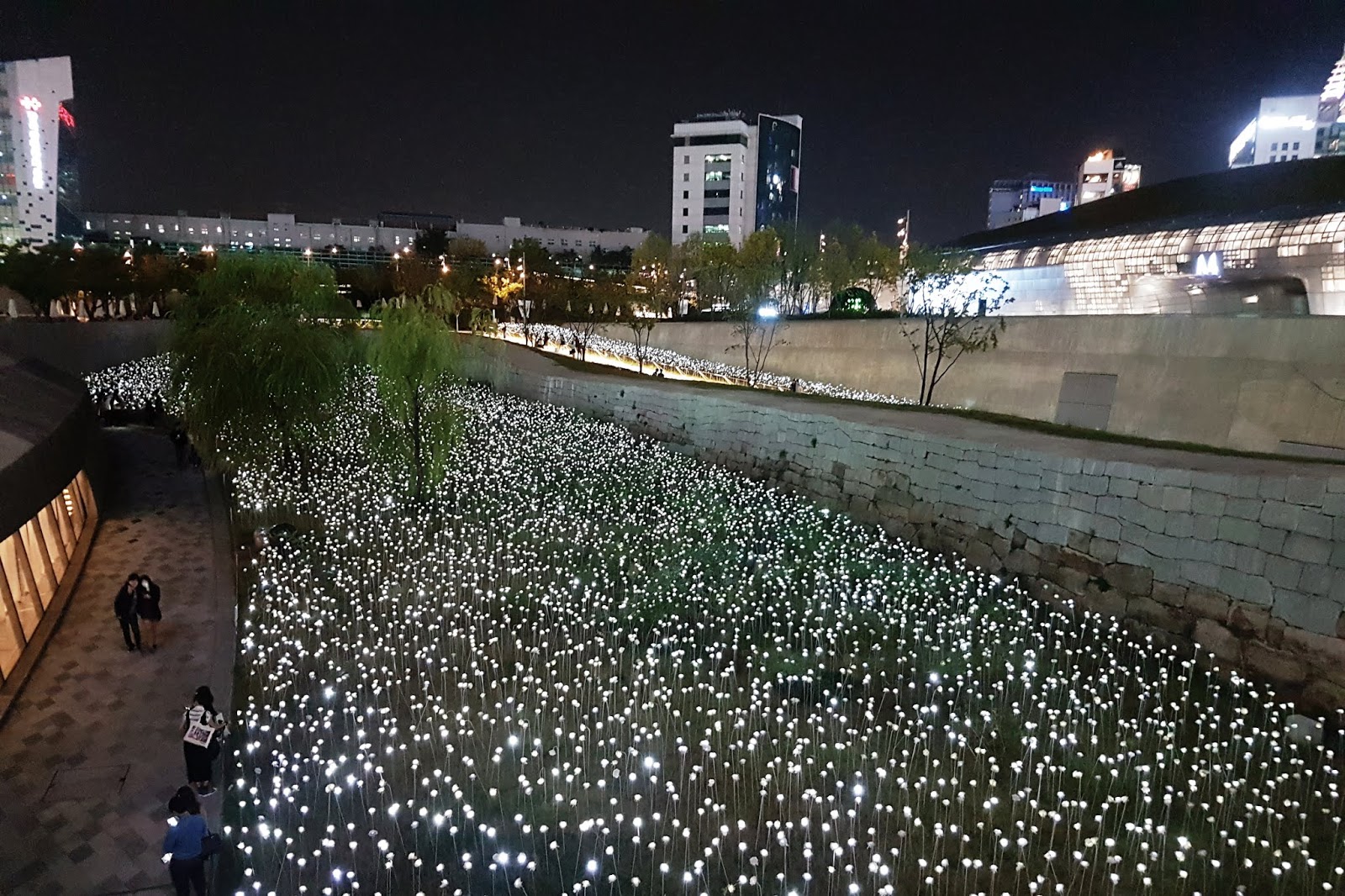 Dongdaemun Design Plaza (동대문디자인플라자) & DDP LED Rose Garden