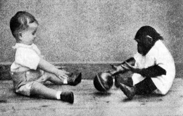 Que no te de un psíncope: El niño y el simio. Un atroz experimento.