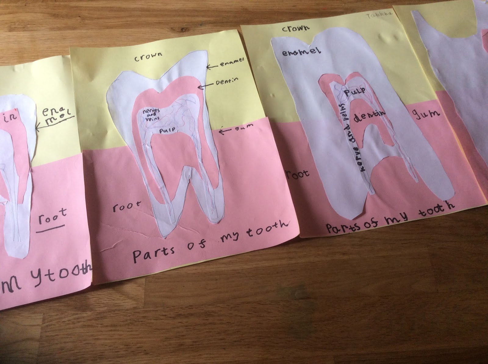 Young Hosannas: Teeth Unit Study