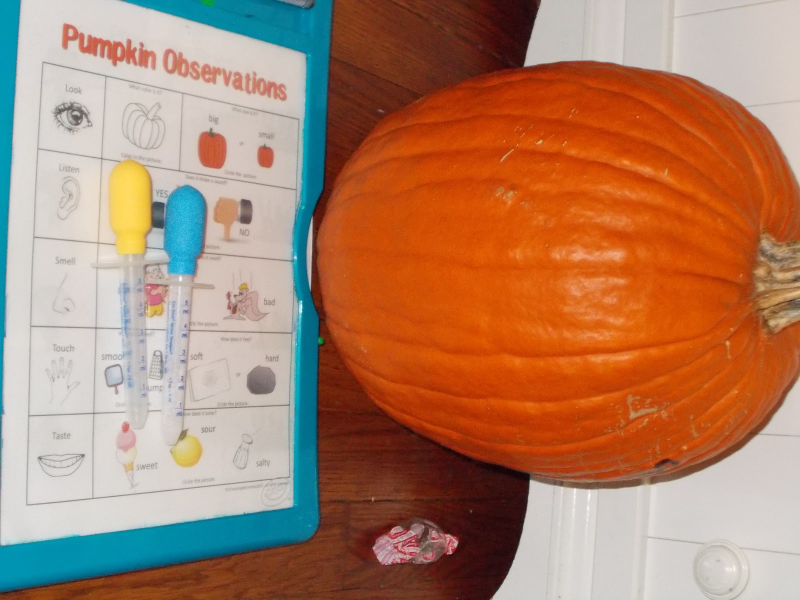 Neverlandarling: Tot Trays: Fall