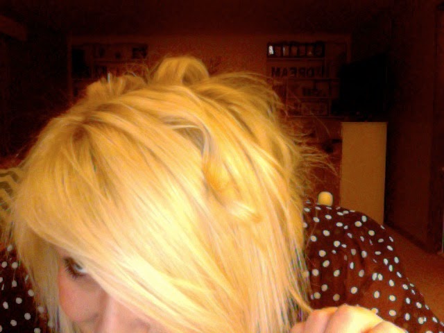 Beauty &The Beehive: Tease FREE Volume