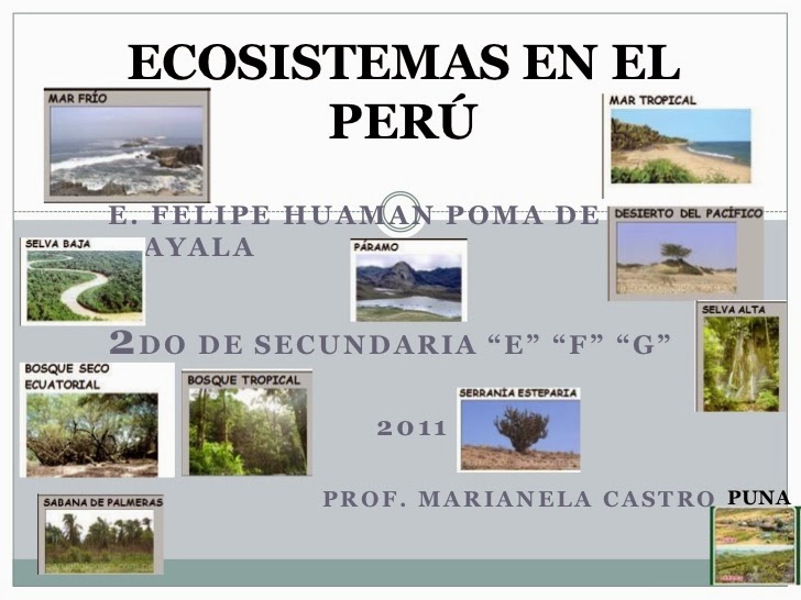 ecoregiones y ecosistemas del peru