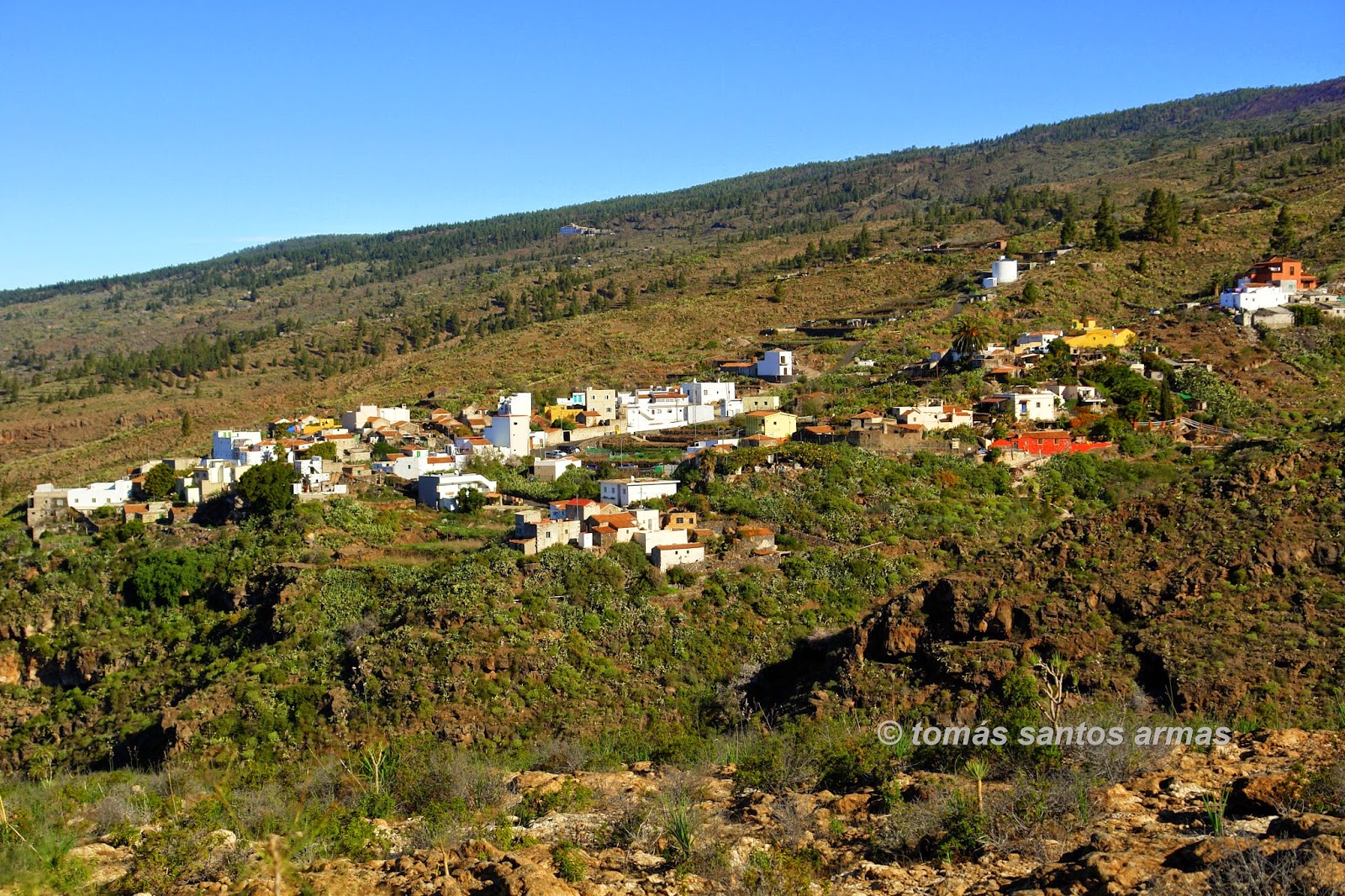 Tenerife senderos......: febrero 2015