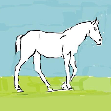 Equus ferus- Wild Horse Photography®: Lethal White Syndrome LWS (Overo ...