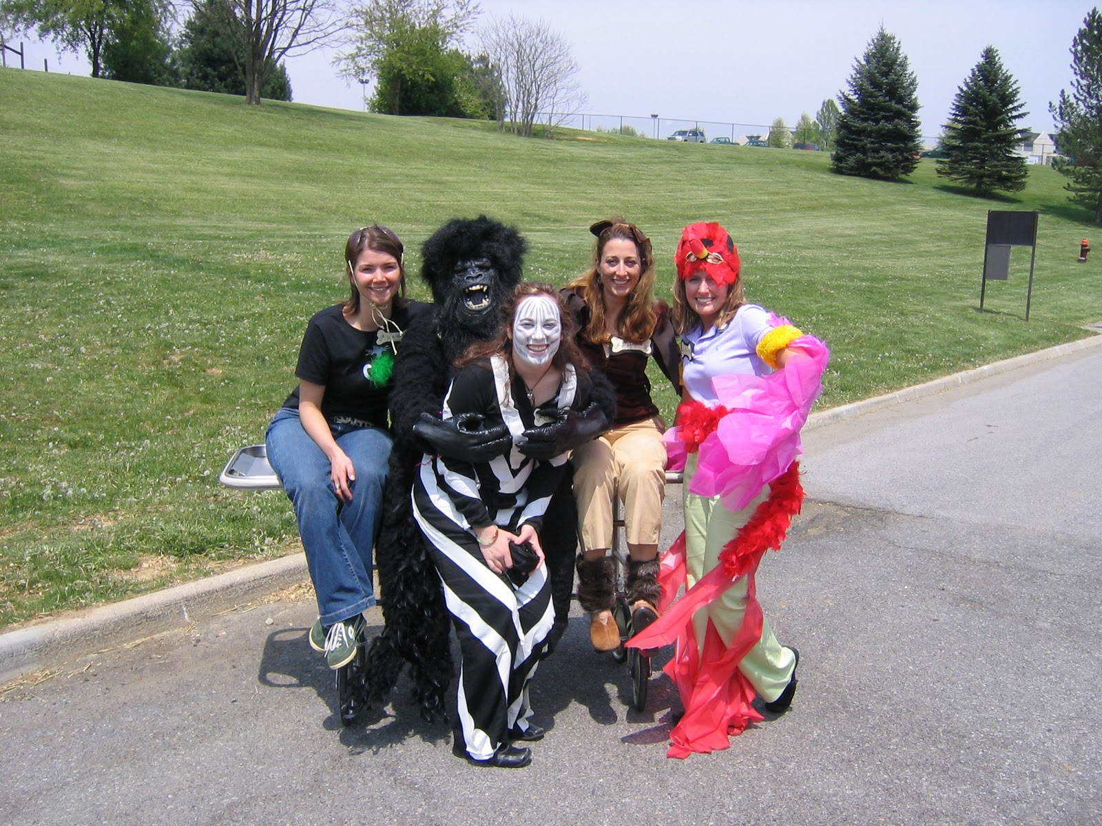 Diary of a Real-Life Veterinarian: Every 14 year old girl wants to be a Vet