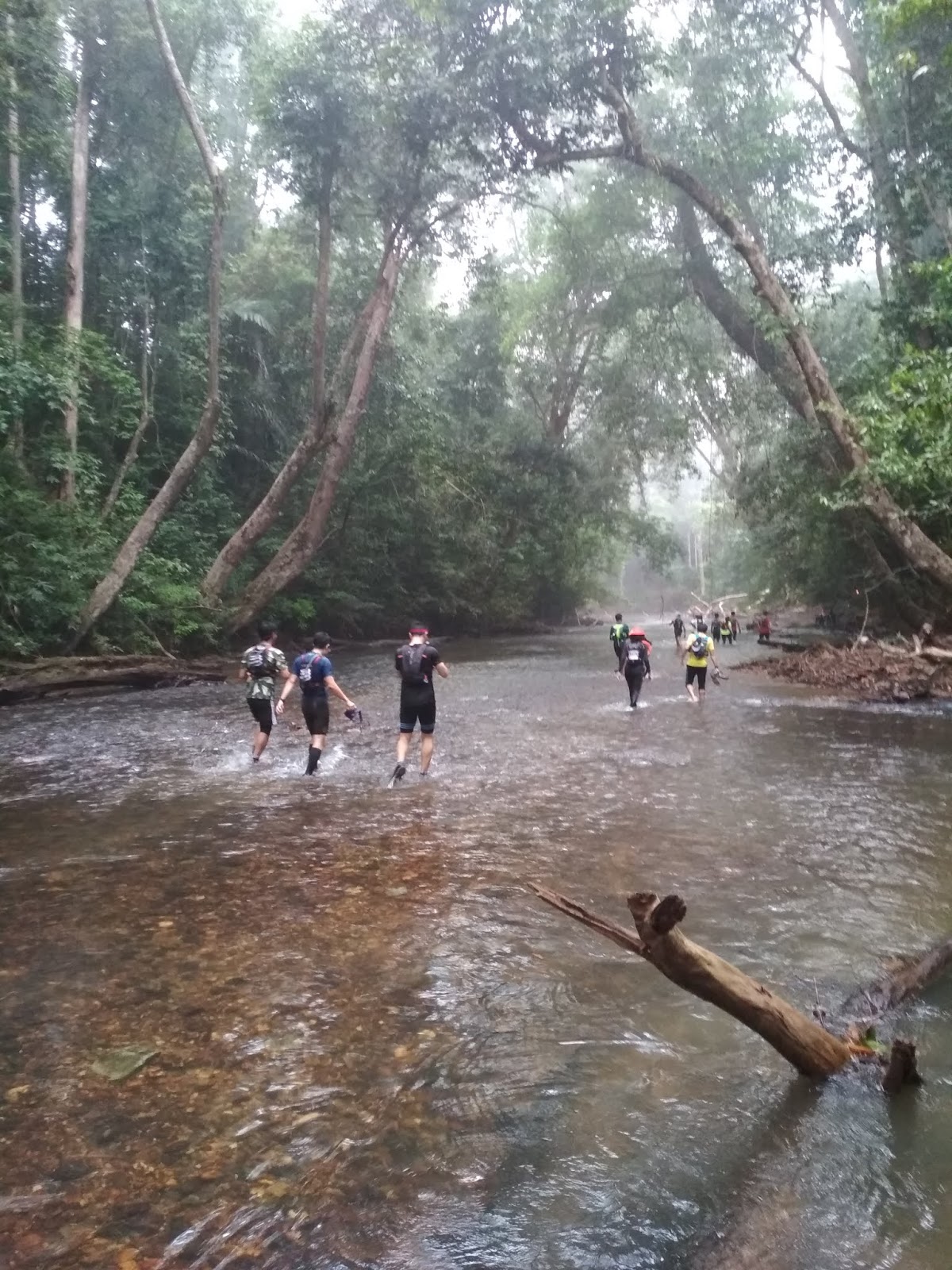 KAB - My activities and everything: The Magnificent Merapoh Trail 2018 ...