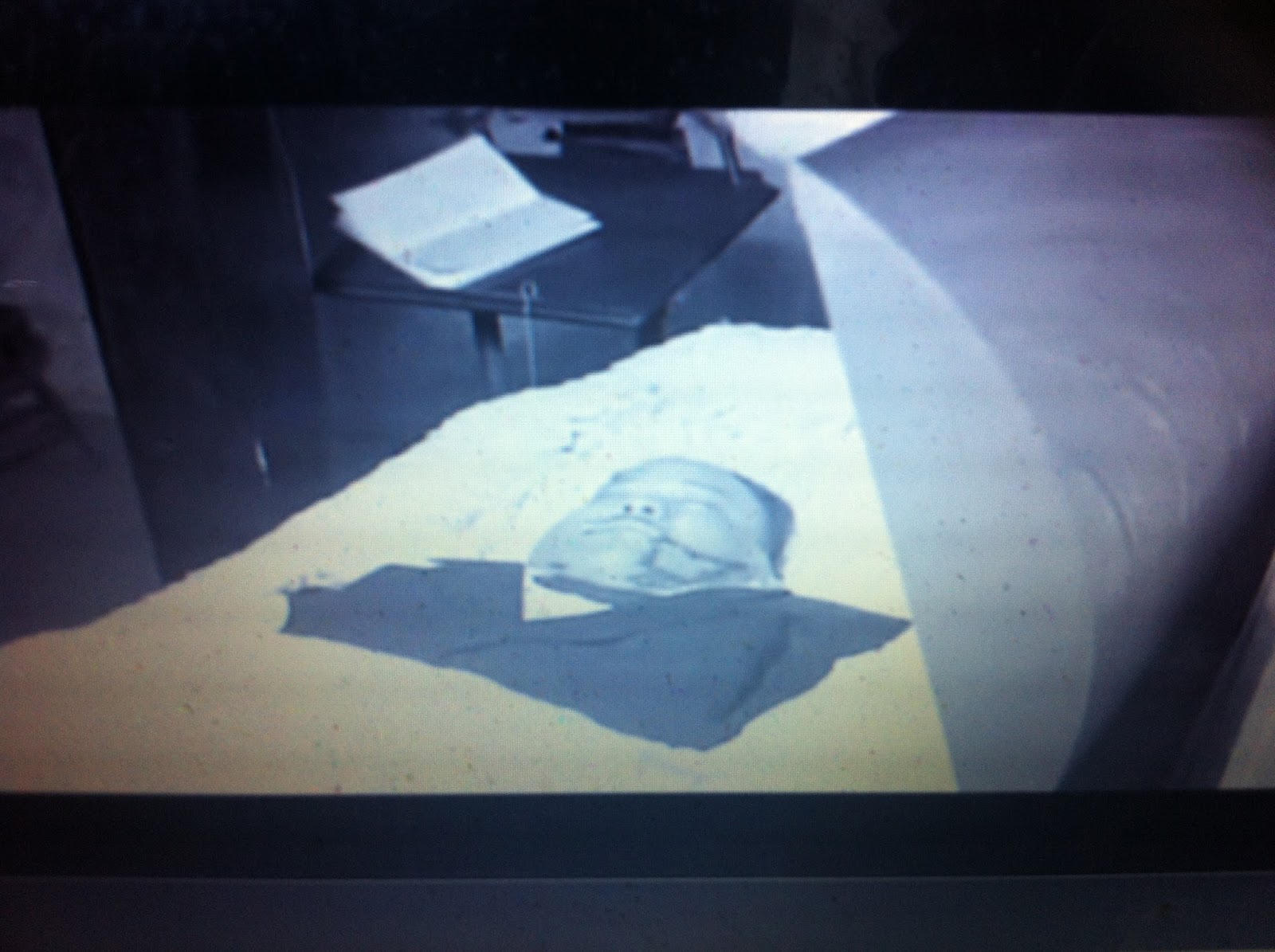 THE BLACK SOCIAL HISTORY:: BLACK SOCIAL HISTORY - AFRICAN AMERICAN ...