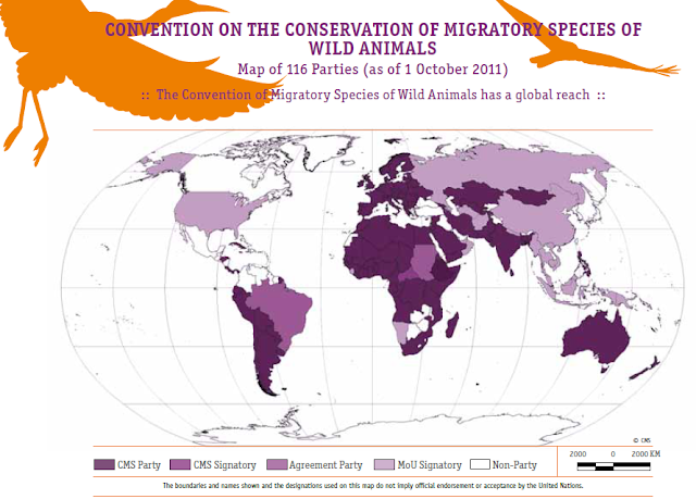 Beautiful Nature: The Convention Of The Conservation Of Migratory ...