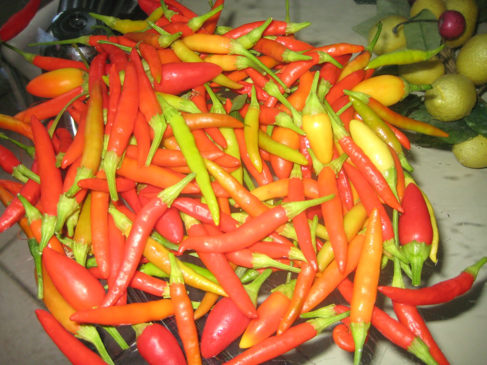 Tương ớt , Dưa gan . - Quinhon11