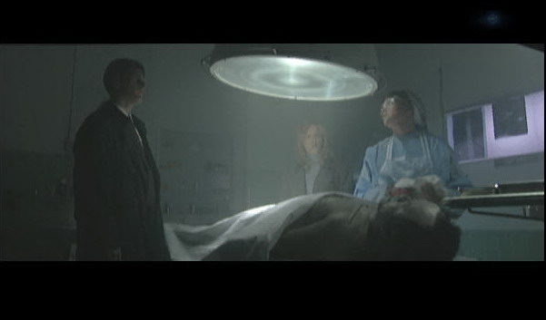 The X Files (PC Game)