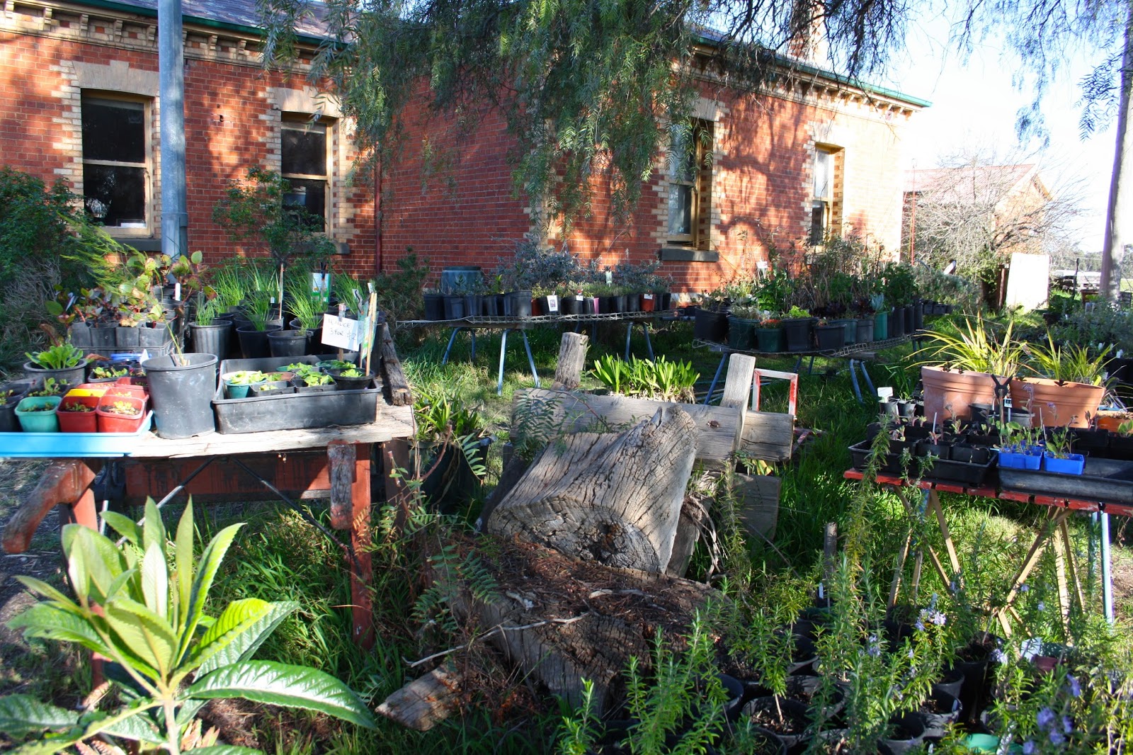 RDO Melbourne: Talbot