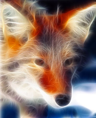 Man, Myth and Magic: Creation Mythology: South America