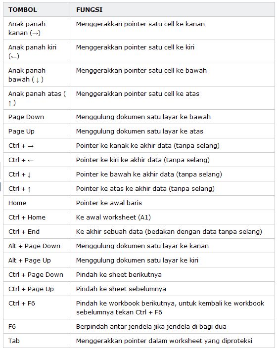 Tombol Penggerak Pointer & Shortcut Keyboard Pada Microsoft Excel