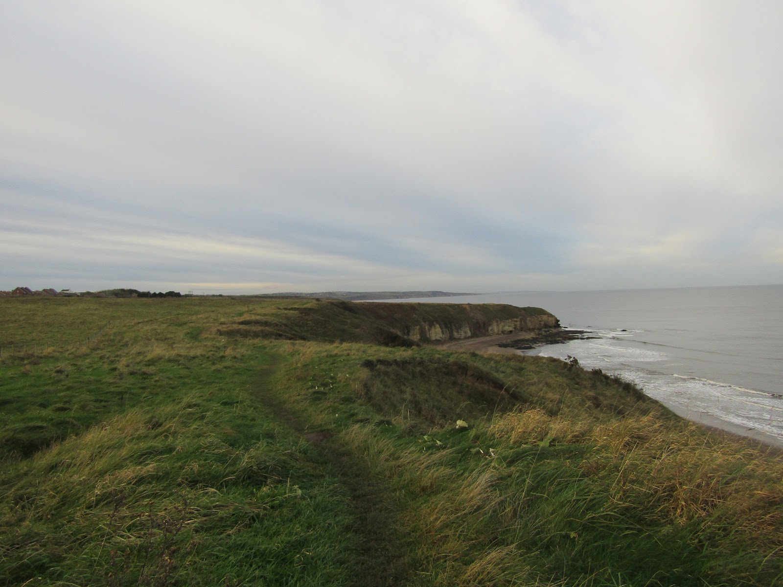 Boz North's Trail - Walking Blog: ECP - Blackhall Rocks to The Headland ...