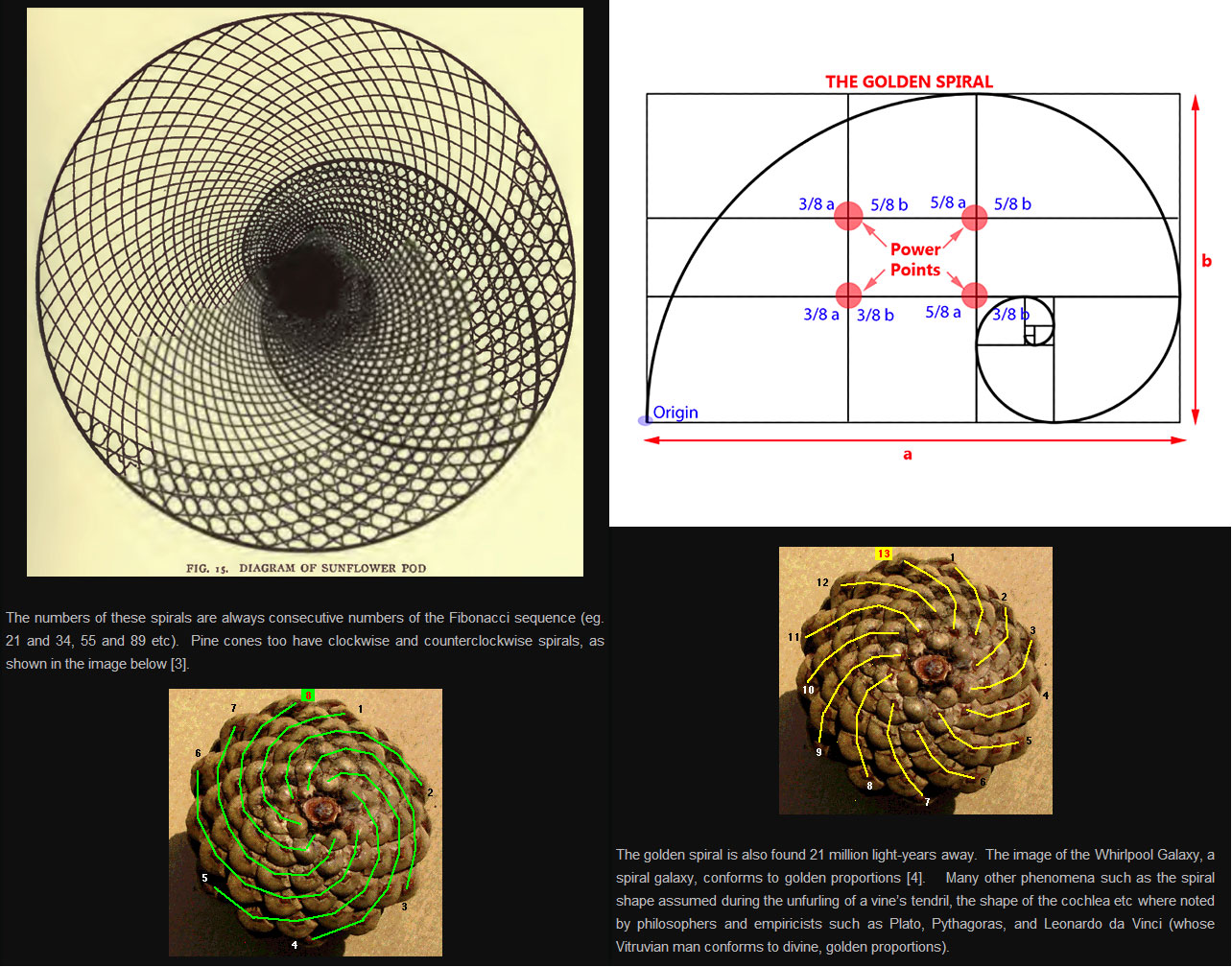 .: Pi samt Gyllene snittet och Phi