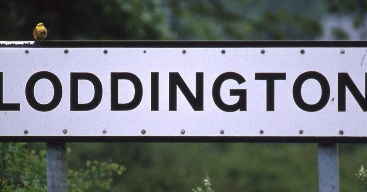 Allerton Project Research Blog: The first 25 years of the Allerton Project