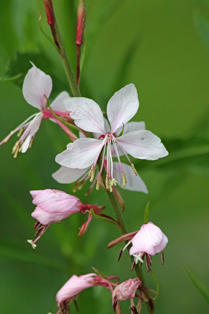 Room Without Walls: It's the Little Things