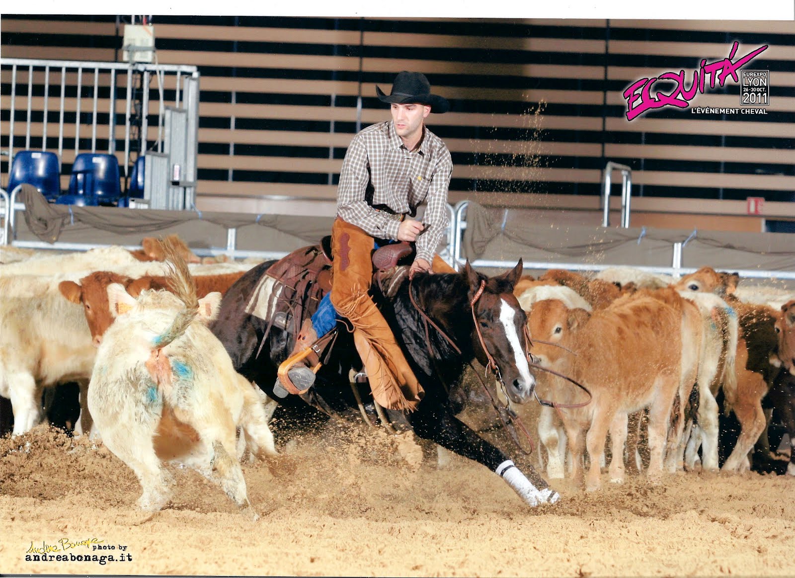 look out ranch cutting horse: PEEKA PEPS CAT