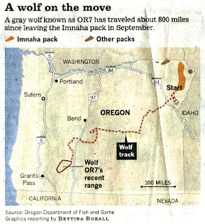 Antelope Valley College Blog: Wild Wolf Sighted in California