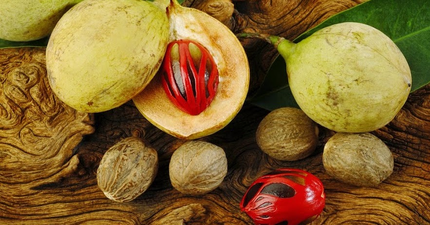 OLAHAN MAKANAN DAGING PALA DARI BANDA NEIRA. - KULINER BANGSAKOE