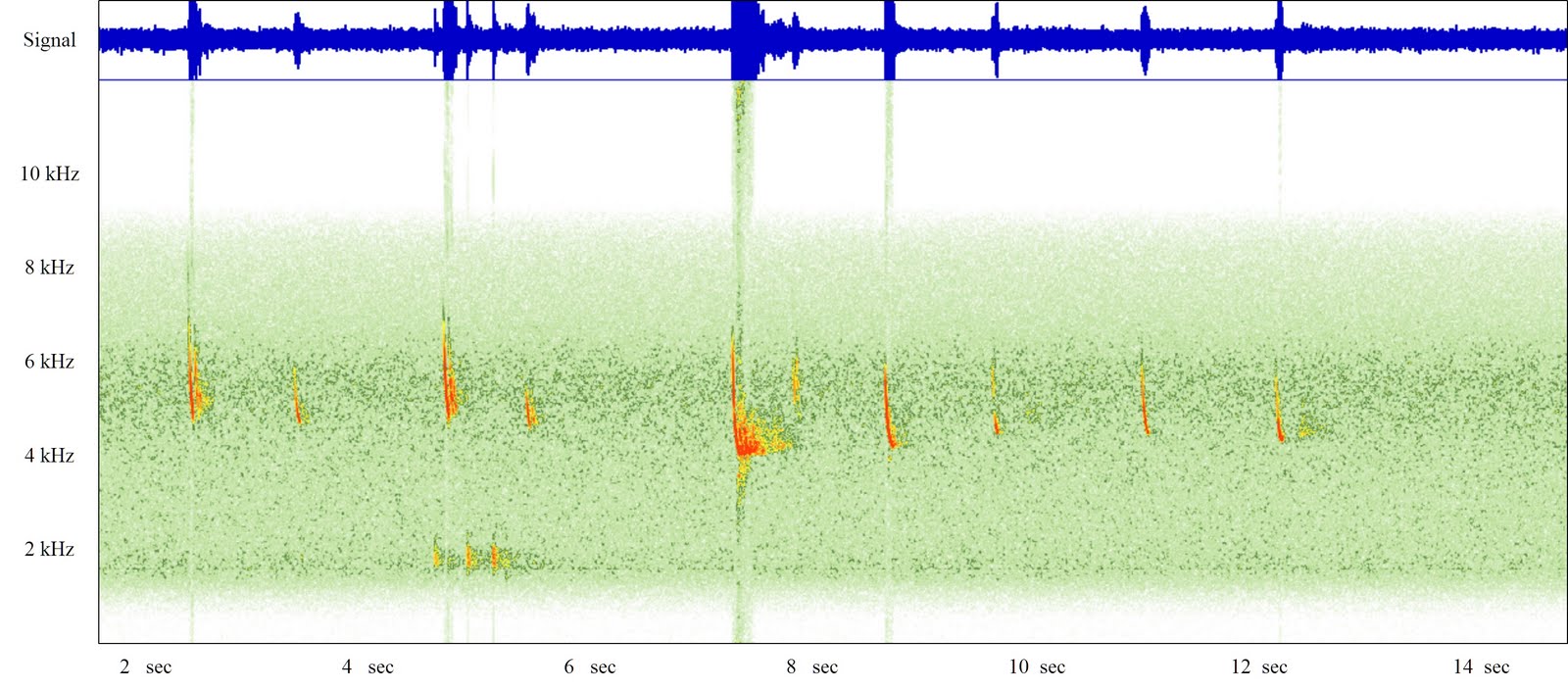 Bat Detector Reviews: Review of The SM2BAT System From Wildlife ...