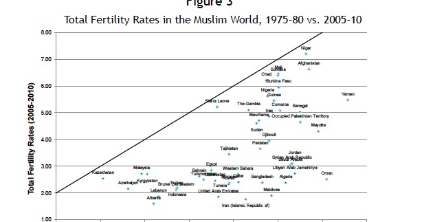 Declining fertility rates and changing demographics in the Muslim World ...
