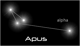 Apus Apus na Torre Refoios: Apus, Ave do Paraíso