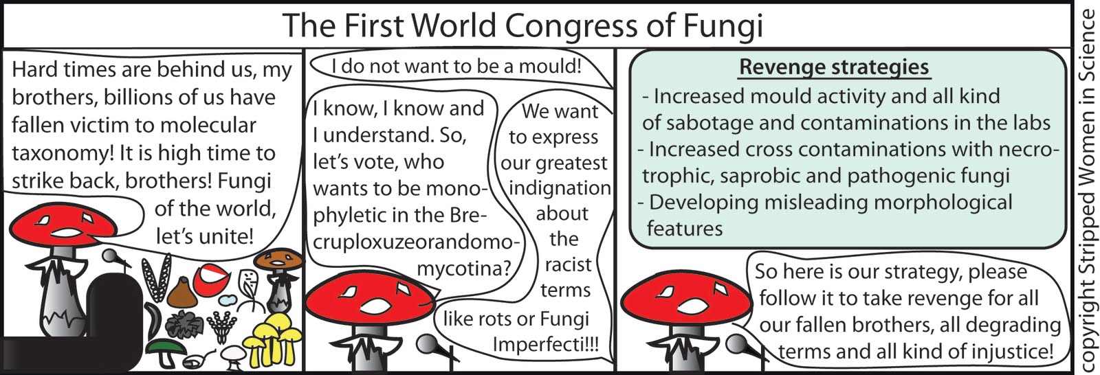 Stripped Women in Science: Mycology congress comic strip - especially ...