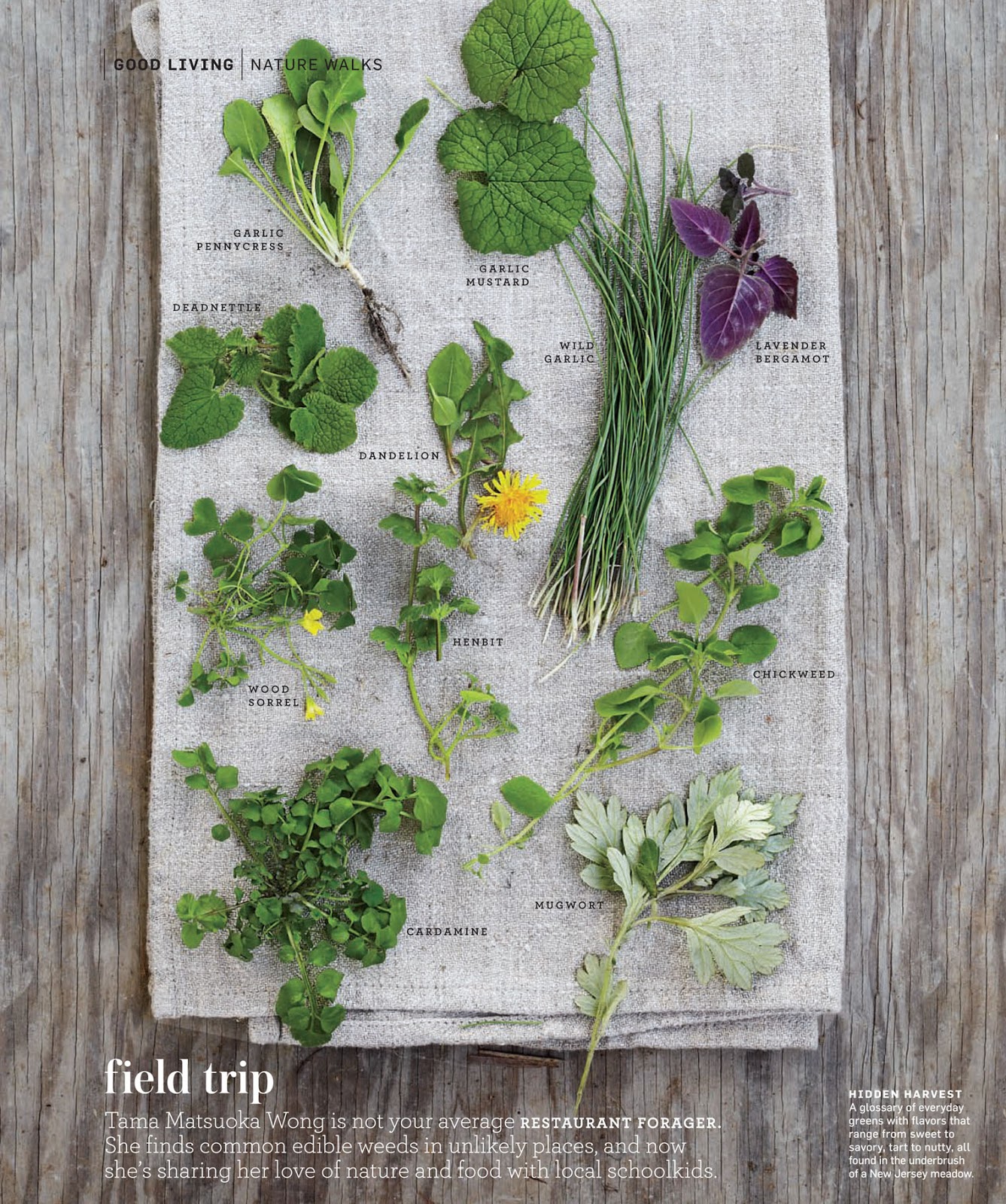 66 Square Feet (Plus): Foraged Flavor in March's Martha