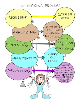 The Nursing Corner: The Nursing Process