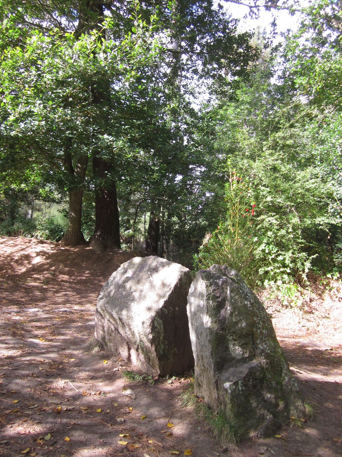 brittany: the mirror of landscape: Merlin's tomb
