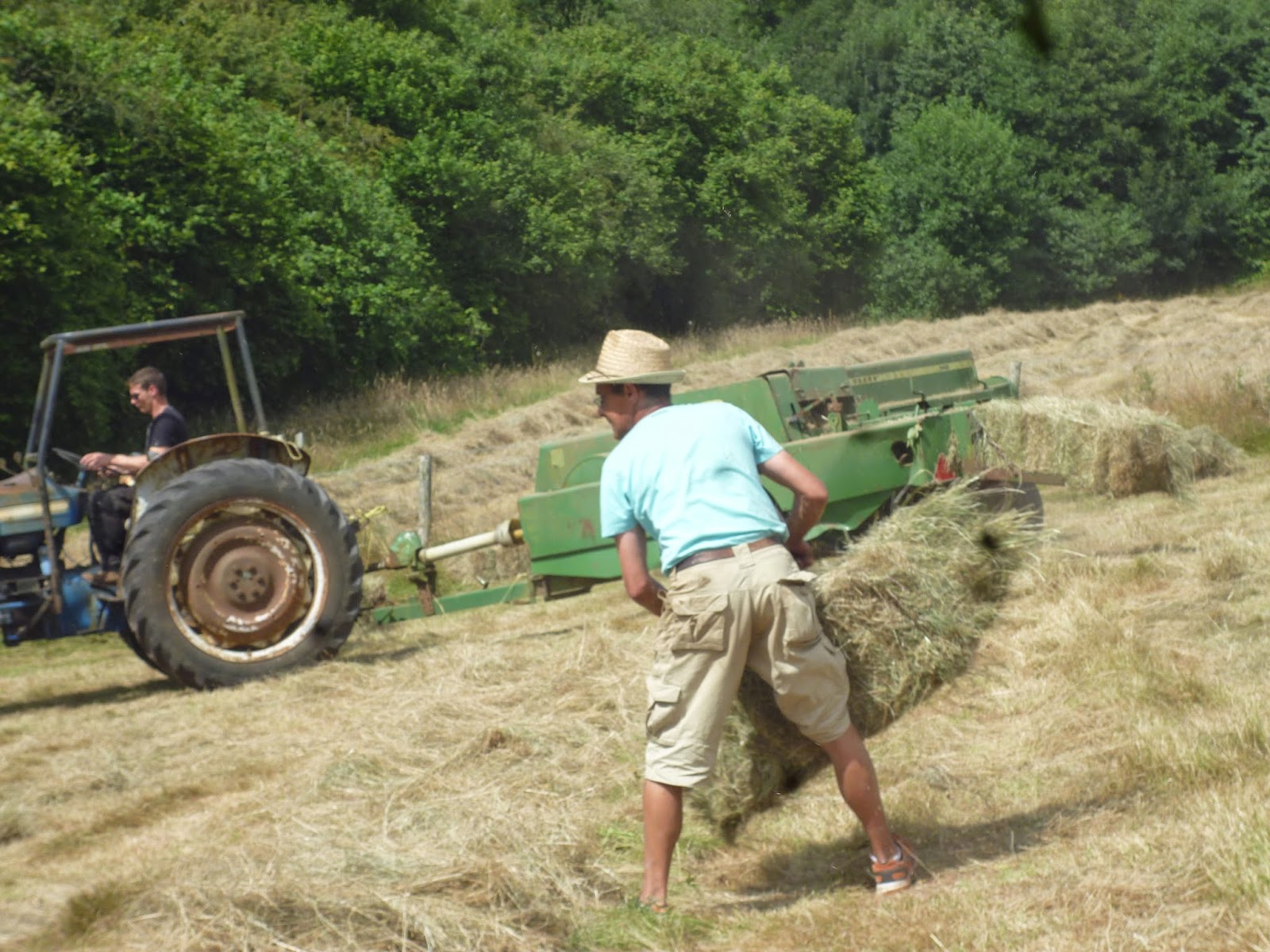 Little Mill Farm