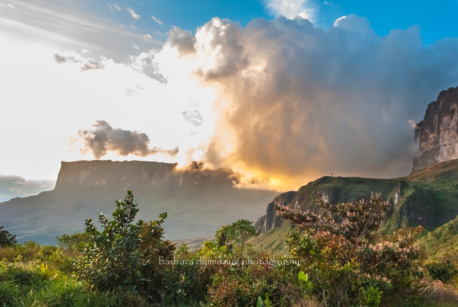 barbara dymidziuk photography: Wenezuela / Venezuela