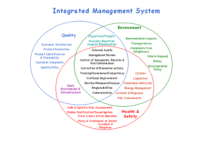 AUDIT INTERNAL - dandy`s file: Integrated Management System