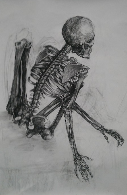 Ashley Piper: Figure Drawing - Skeleton