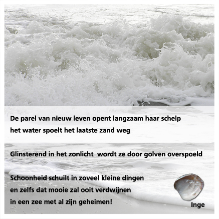 Kies een kaartje: Gedichten Natuur