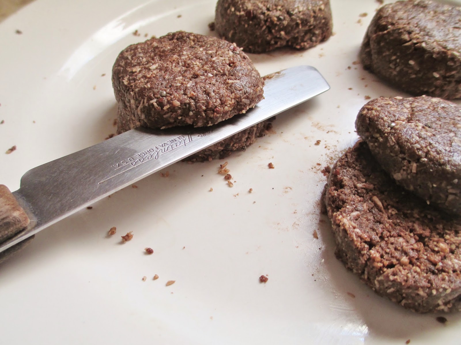 Rawdorable: Springtime No-Bake Macaroons