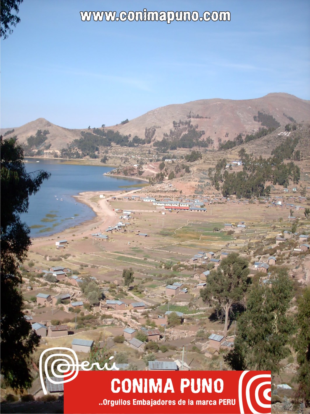 CONIMA PUNO: IMAGENES