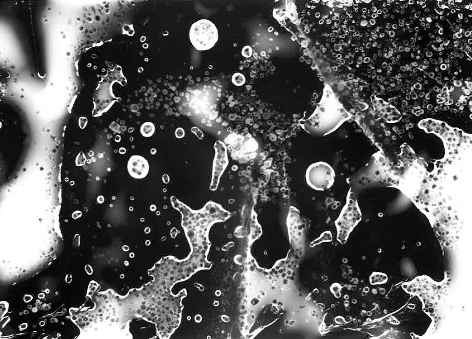 Lauren Carr: Handmade Negatives.