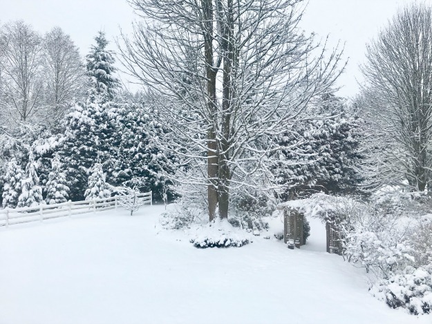 Little Farmstead: Snow Day!