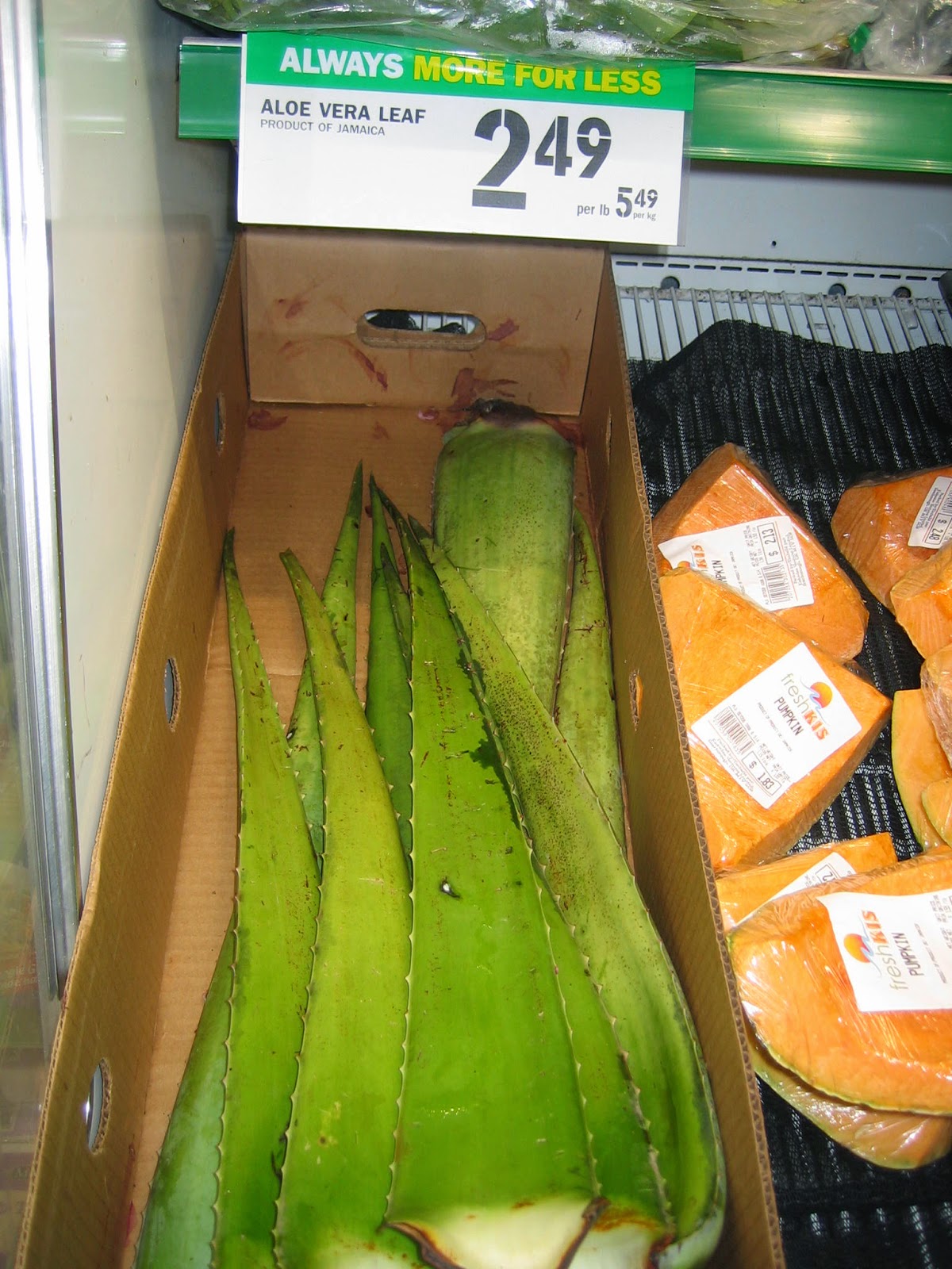 Marlene's Space: Aloe Vera As Food?!