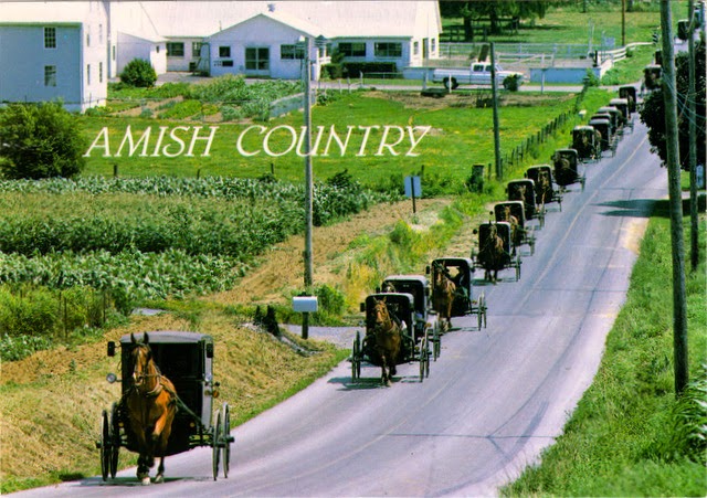 One Postcard a Day: Amish Country