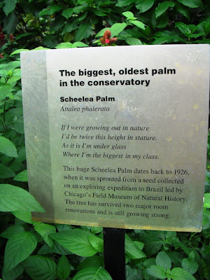 Life Among the Leaves: July 2011