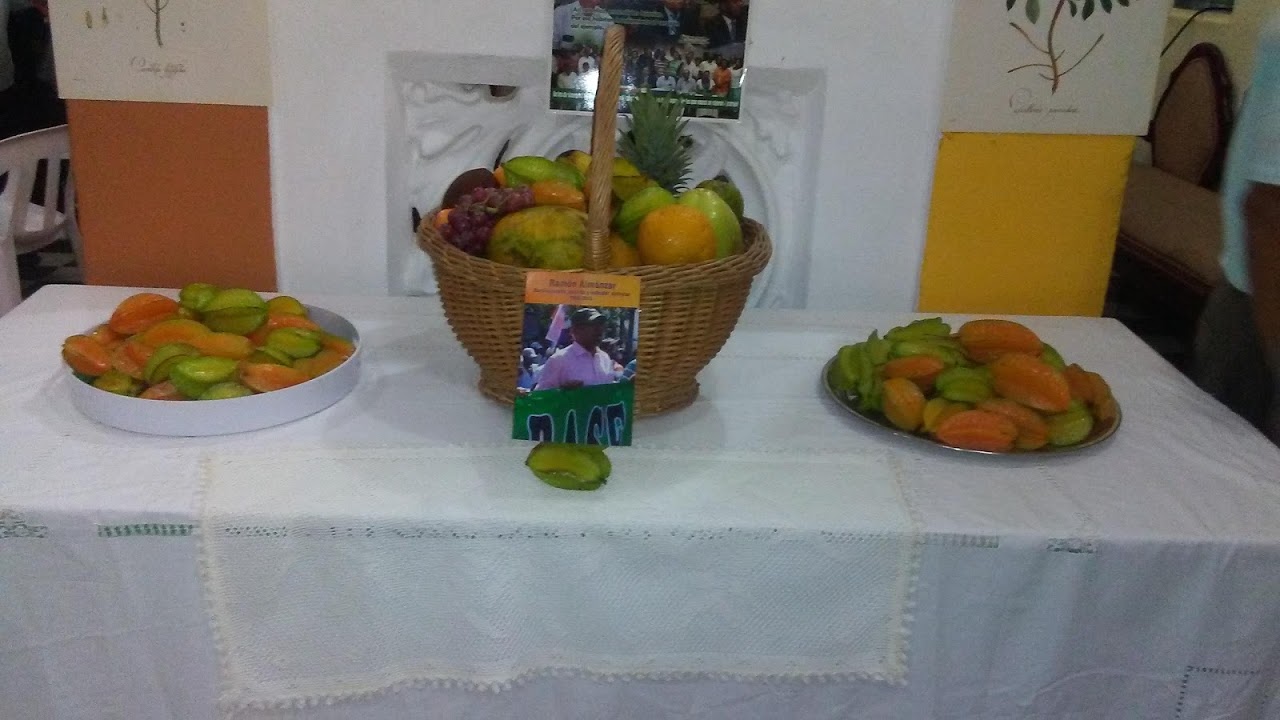 Espejismo de Luna Llena: Acto a Ramón Almanzar.